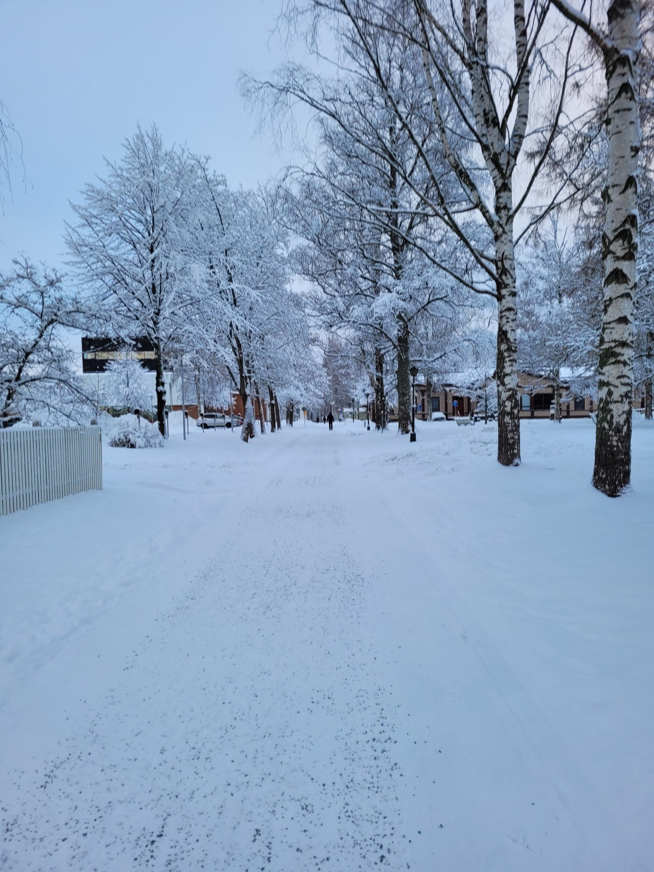Sisu, sidewalks, and sleep – Fulbright Adventures in Finland